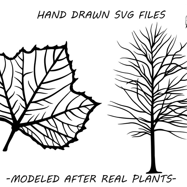 Sycamore Tree - Etsy