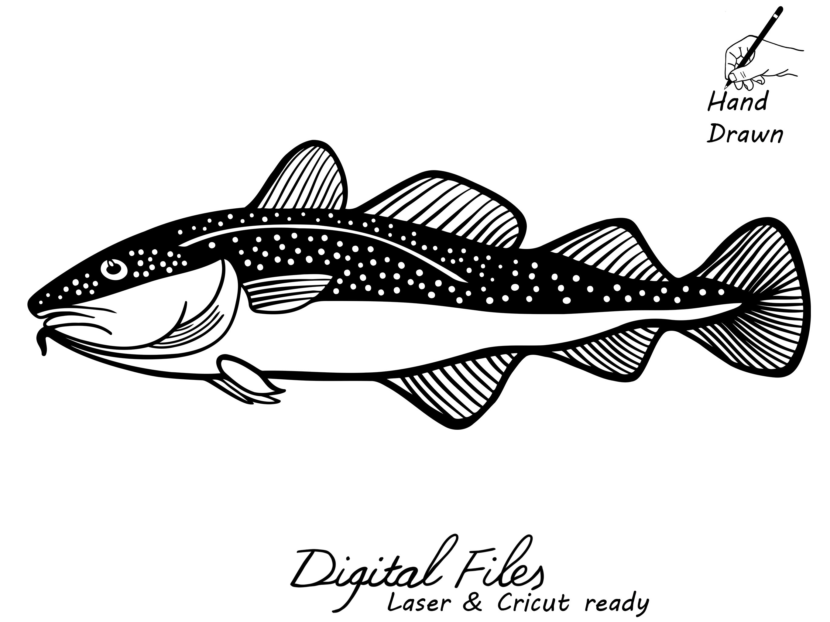 Atlantic Cod Drawing