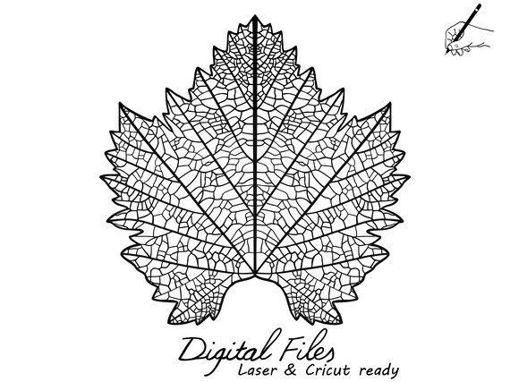 Grapevine Leaf SVG/DXF File for Laser Cut Cnc Router Plasma - Etsy