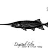 Gizzard Shad Hand Drawn SVG Clipart, Laser Cut Shad Fish DXF, Cnc Cut ...
