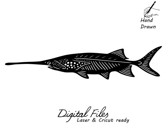 Paddlefish Spadefish Hand Drawn SVG Clipart Laser Cut - Etsy