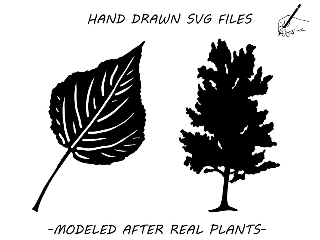 Poplar Leaf and Tree Hand Drawn SVG DXF, Poplar Stencil, Poplar ...