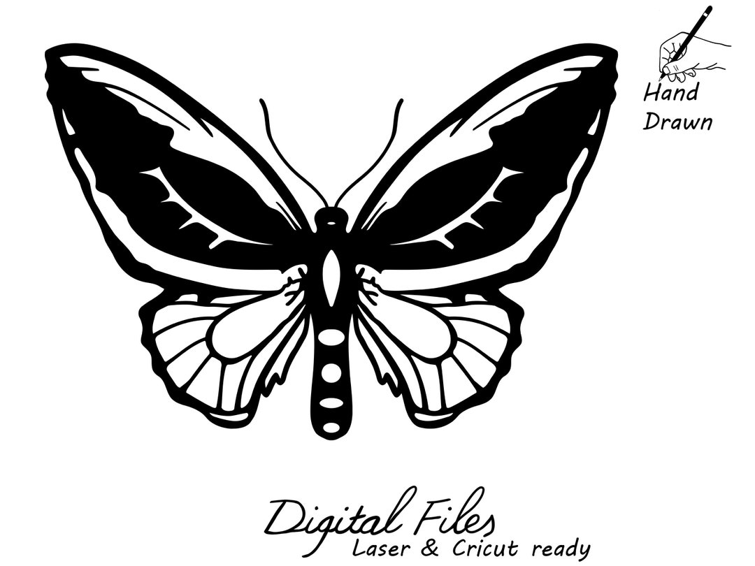 Cairn Birdwing Butterfly Hand Drawn SVG Clipart, Laser Cut Butterfly ...