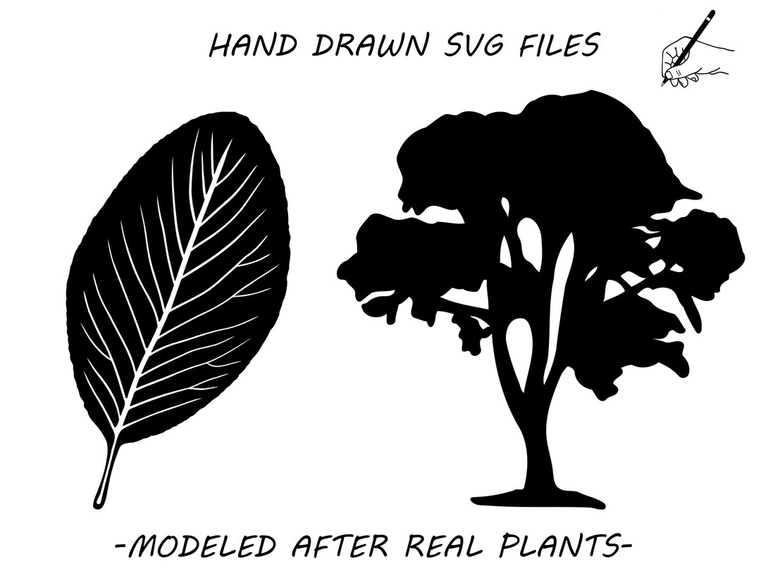 Madrona Leaf and Tree Hand Drawn SVG DXF, Madrona Stencil, Madrona ...