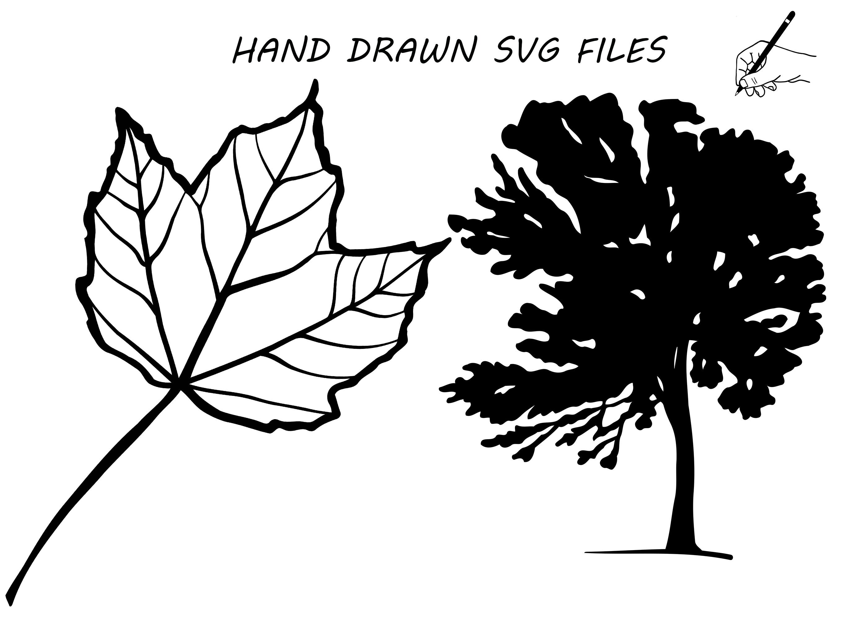 Red Maple Hand Drawn SVG, Red Maple Decal Stencil, Red Maple Engraving ...