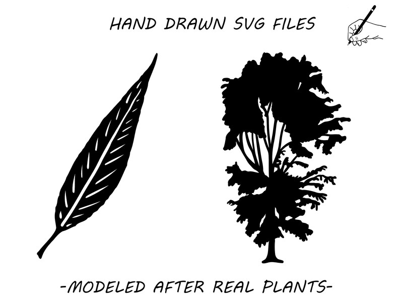 Willow Leaf and Tree Hand Drawn SVG DXF, Willow Stencil, Willow ...