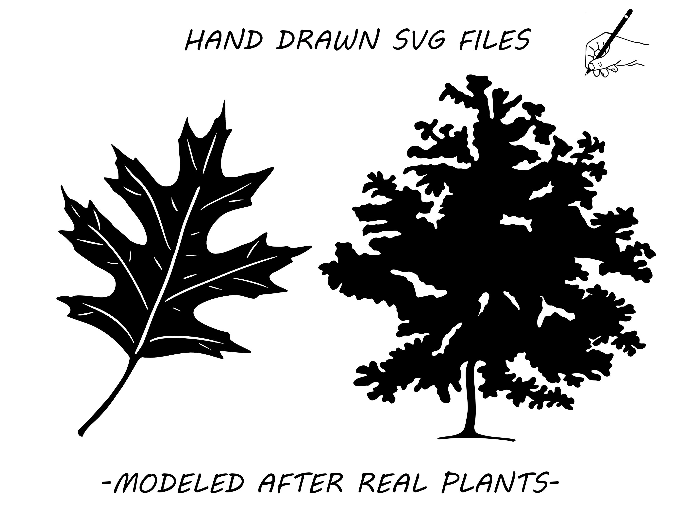 Scarlet Oak Leaf and Tree Hand Drawn SVG DXF, Oak Stencil, Oak ...