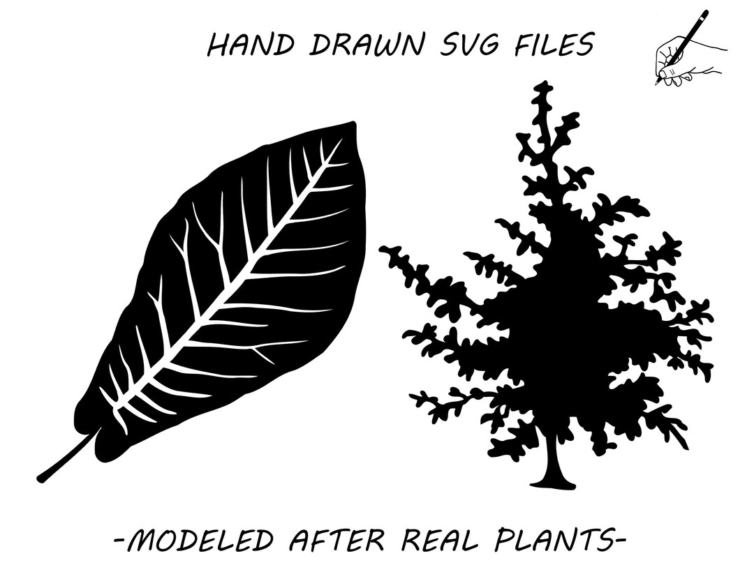 Magnolia Leaf and Tree Hand Drawn SVG DXF, Magnolia Stencil, Magnolia ...