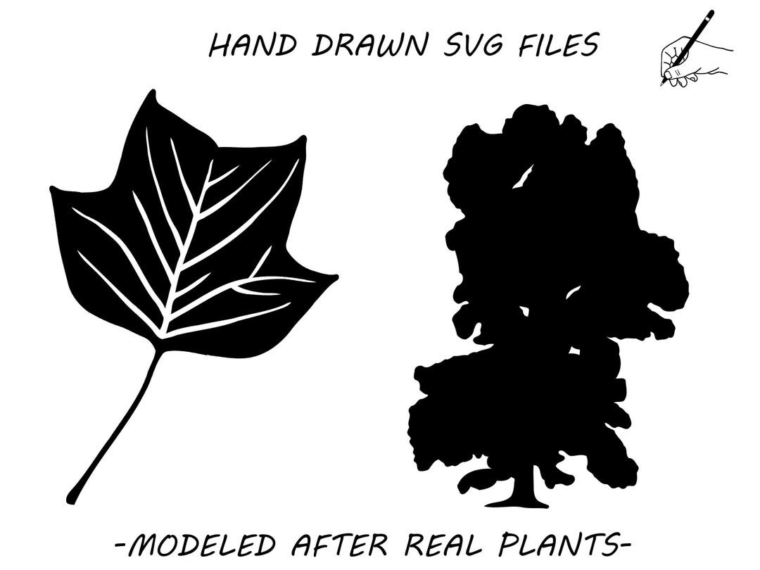 Tulip Leaf and Tree Hand Drawn SVG DXF, Tulip Stencil, Tulip Engraving ...