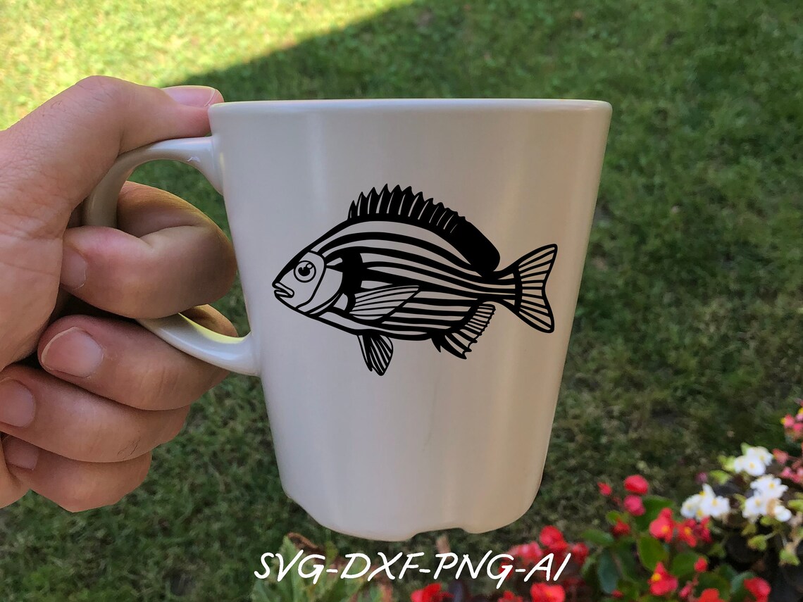 Sea Bream Fish Hand Drawn SVG/DXF File for Laser, Cnc, Plasma Cut ...
