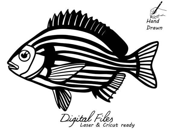 Sea Bream fish hand drawn SVG/DXF file for laser cnc plasma | Etsy