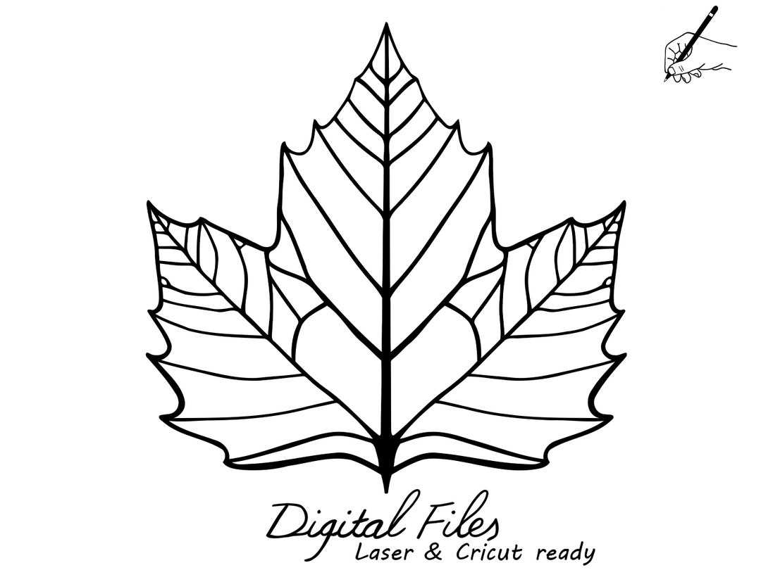 Maple Leaf SVG/DXF File for Laser Cut, Cnc Router, Plasma, Cricut ...
