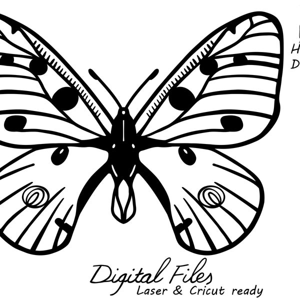 Apollo Butterfly Image - Etsy