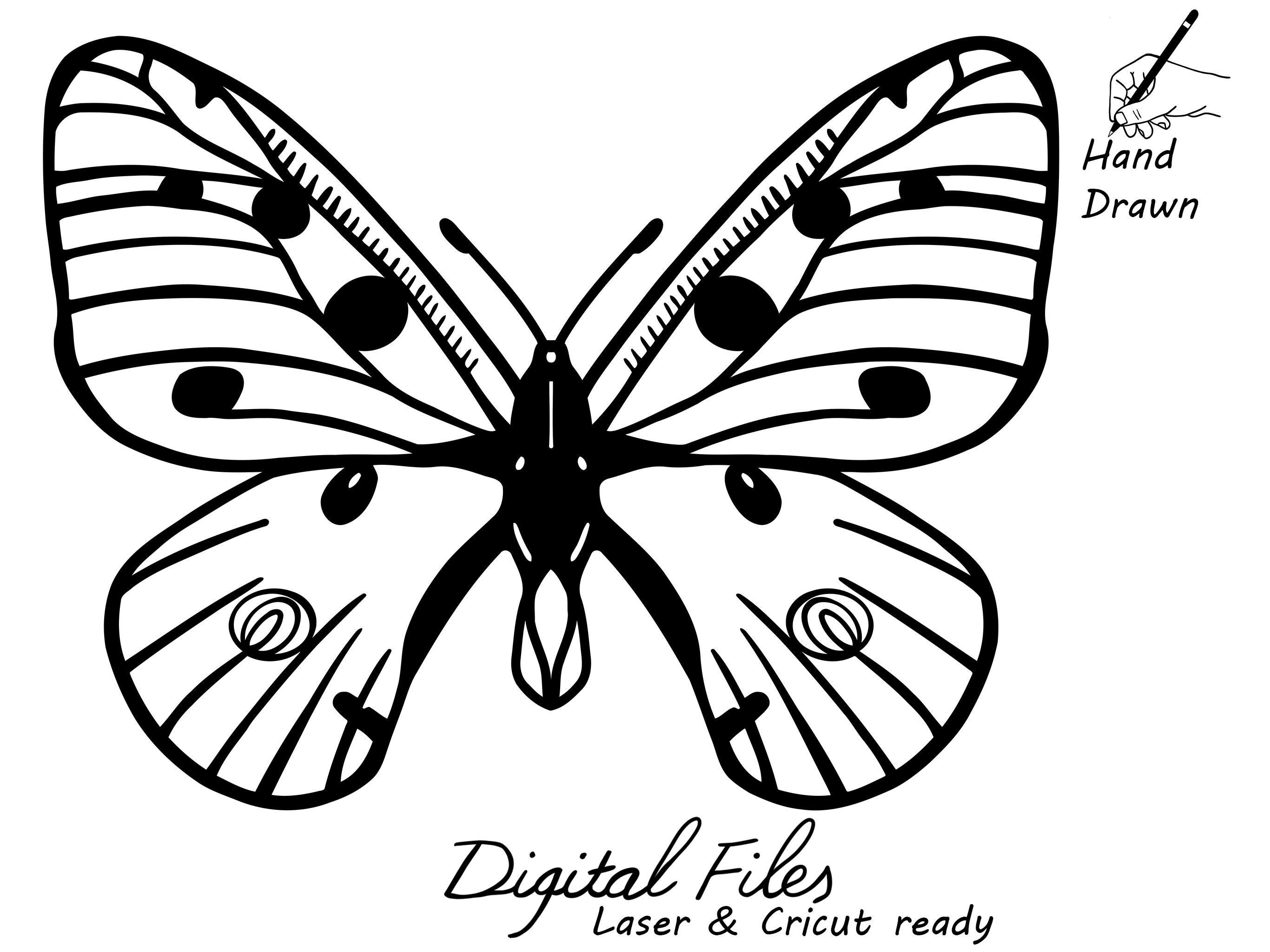 Apollo Butterfly Hand Drawn SVG Clipart, Laser Cut Butterfly, Butterfly ...