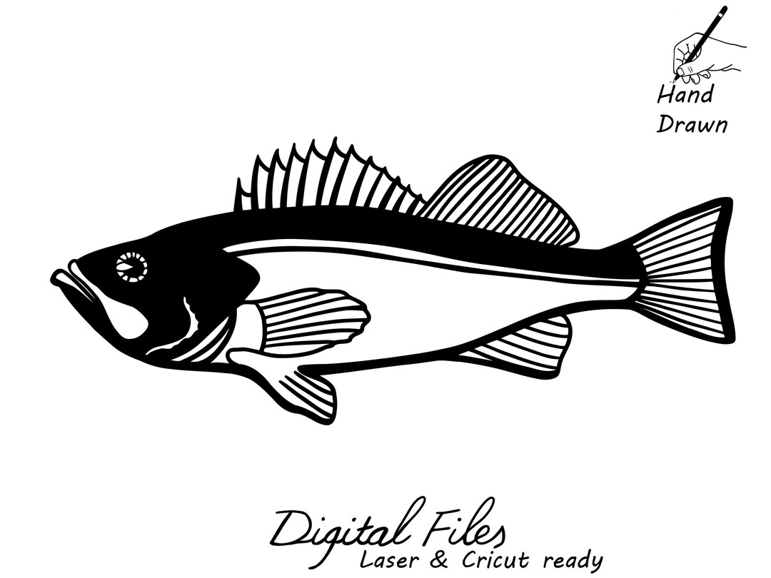 Bocaccio Sebastes Paucispinis Hand Drawn SVG/DXF File for Laser, Cnc ...
