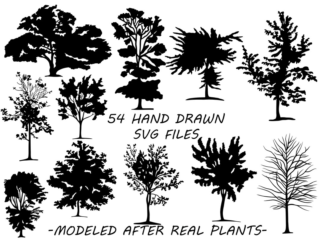 Hand Drawn Trees Mega Bundle, 54 SVG Trees Files, Trees Pack for ...