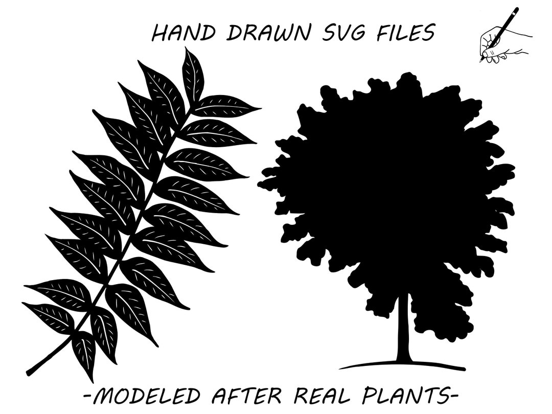 Walnut Leaf and Tree Hand Drawn SVG DXF, Walnut Stencil, Walnut ...