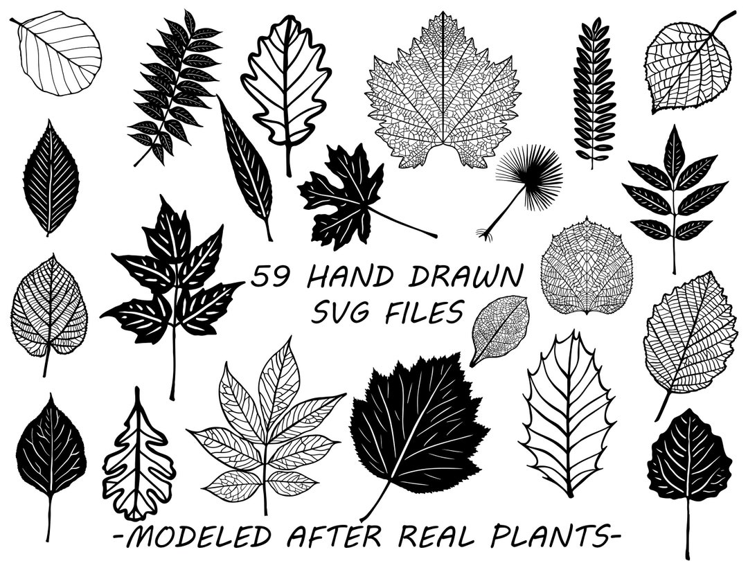 Hand Drawn Leaves Mega Bundle, 59 SVG Leaf Files, Leaf Pack for Digital ...