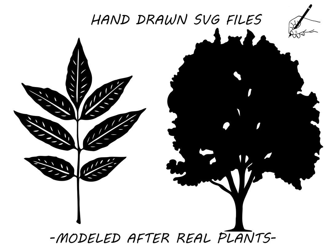 Ash Leaf and Tree Hand Drawn SVG DXF, Ash Stencil, Ash Engraving, Ash ...