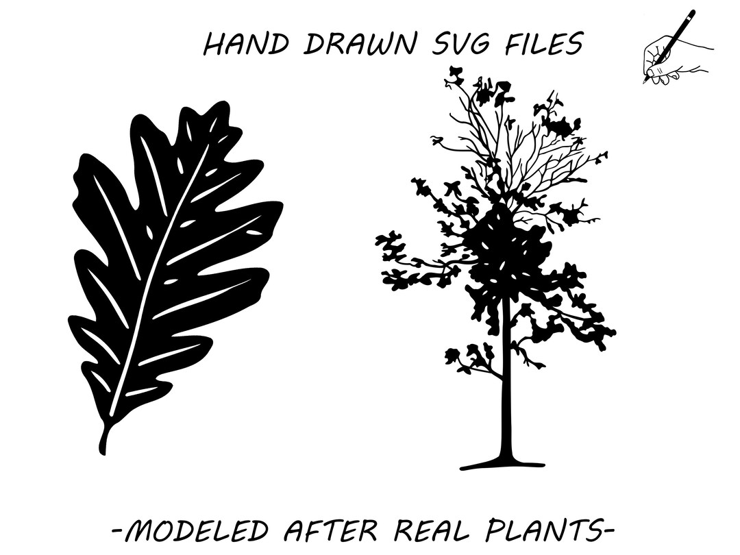 White Oak Leaf and Tree Hand Drawn SVG DXF, Oak Stencil, Oak Engraving ...