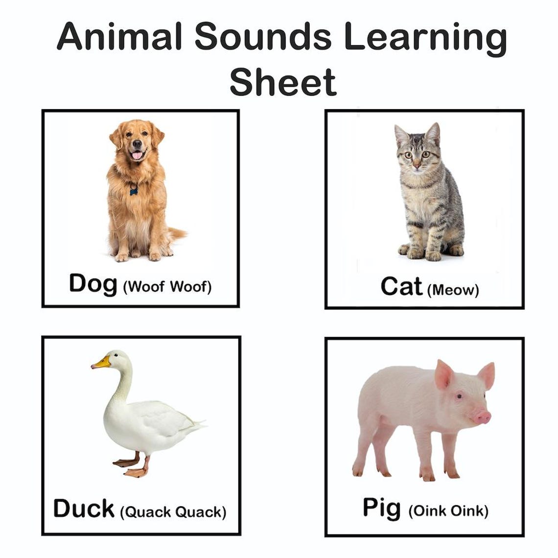 Learning Animal Sounds Worksheets - Etsy