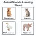 Learning Animal Sounds Worksheets - Etsy