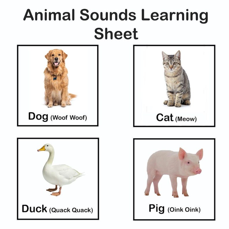 Learning Animal Sounds Worksheets - Etsy