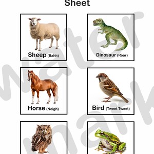 Learning Animal Sounds Worksheets - Etsy