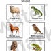 Learning Animal Sounds Worksheets - Etsy