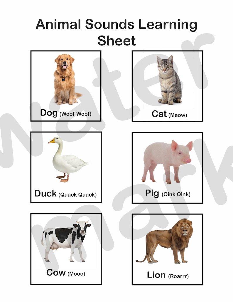 Learning Animal Sounds Worksheets - Etsy