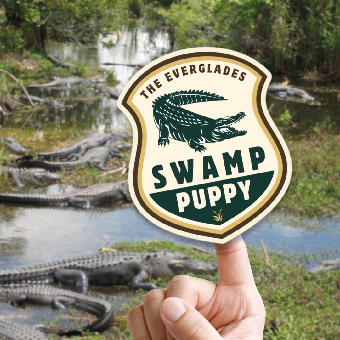 Alligator Florida Swamp Gator Sticker: Sunshine State Vinyl Decal ...