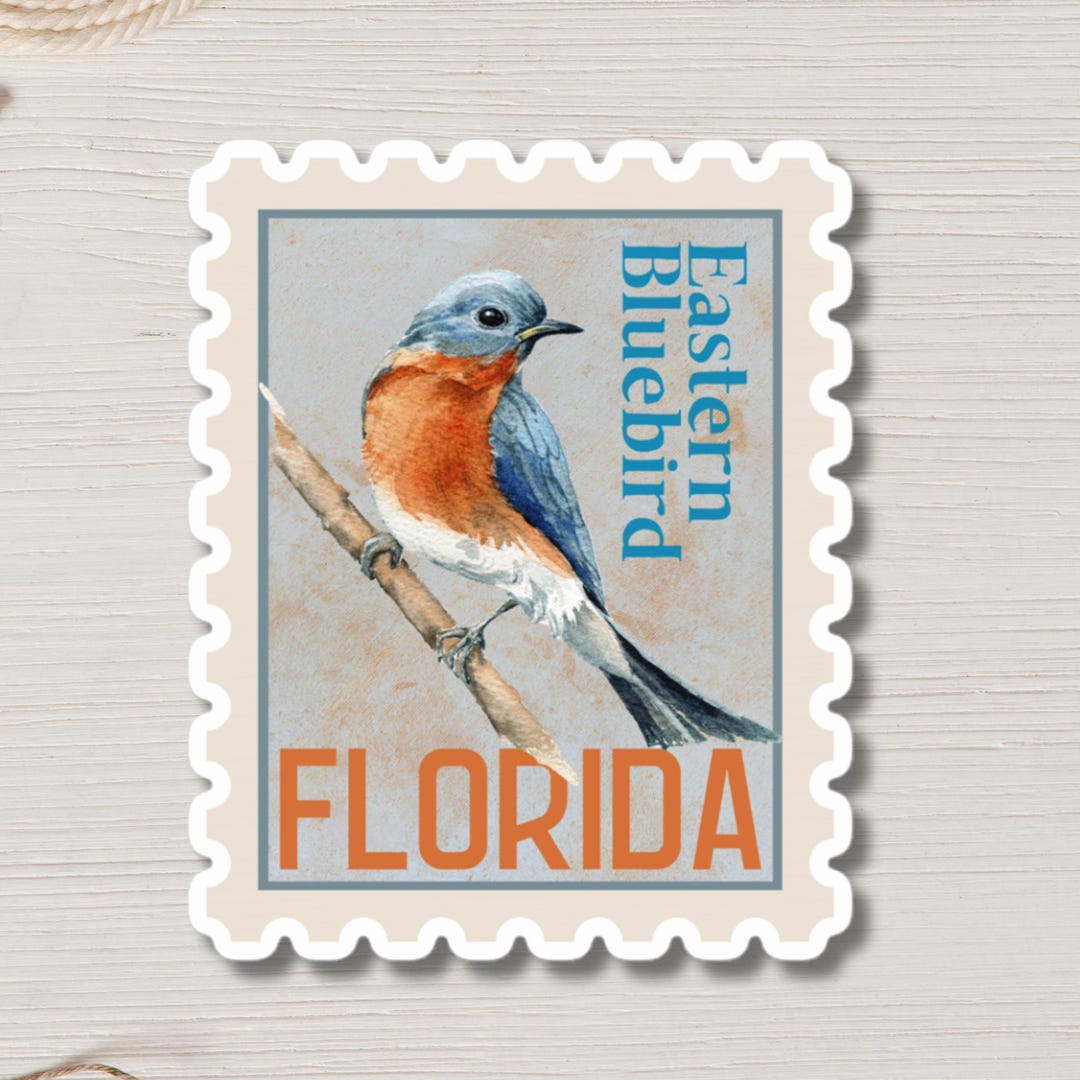 Birdwatching Gifts Eastern Bluebird Bird Sticker Native Florida ...