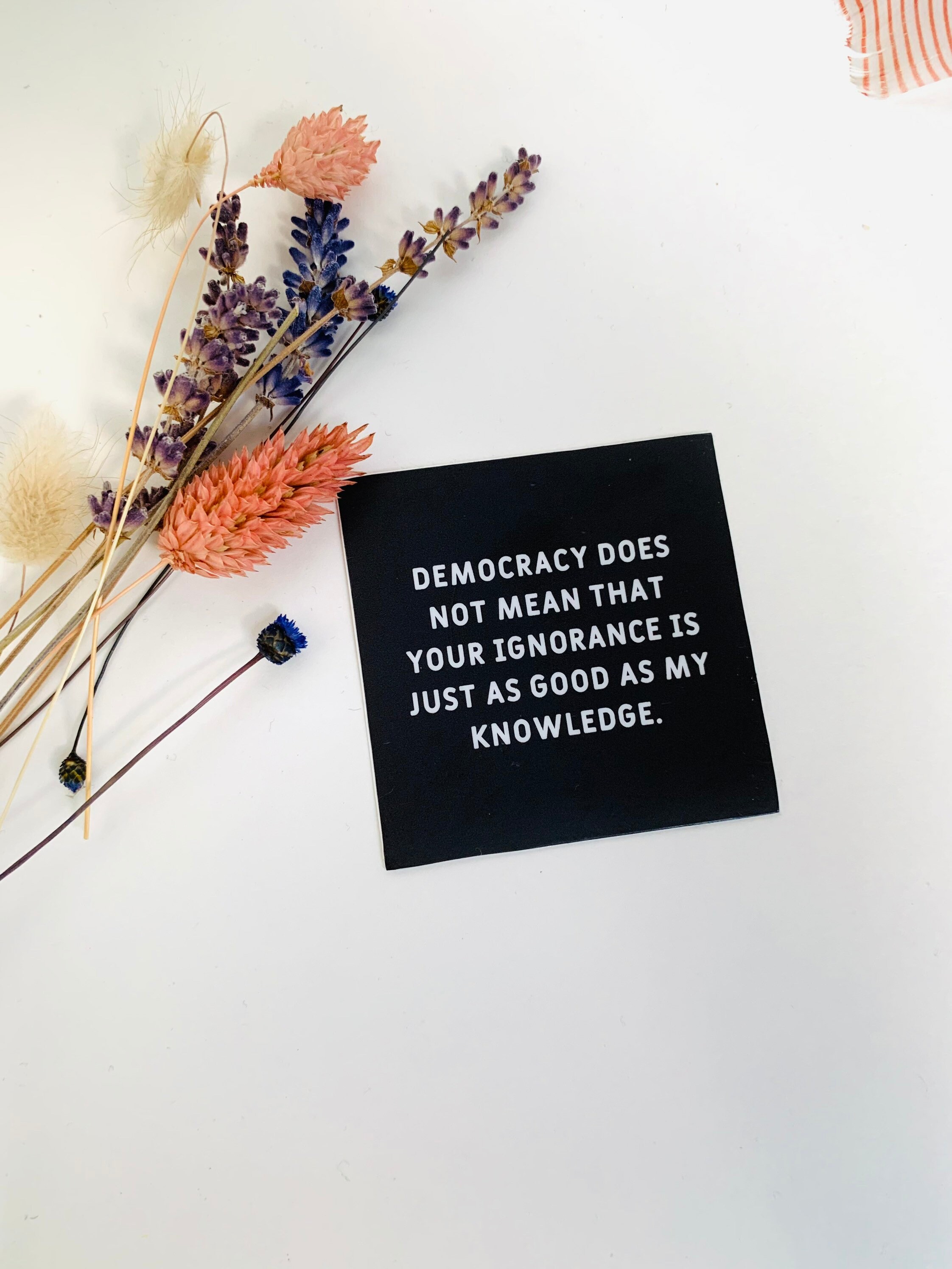 Political Sticker Pack // Pack of 3, Die Cut, Matte, Rainbow, Vinyl ...