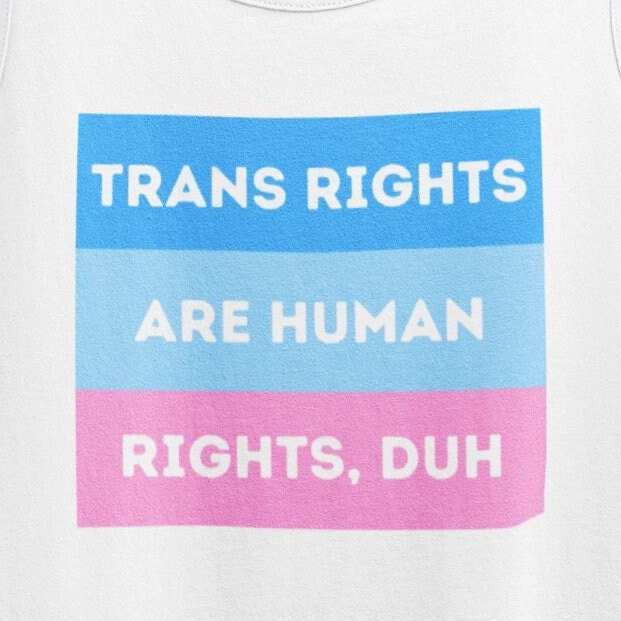 Pride 2024 Shirt, Pride Trans Rights T Shirt LGBTQA Shirt, Retro Tee - Etsy