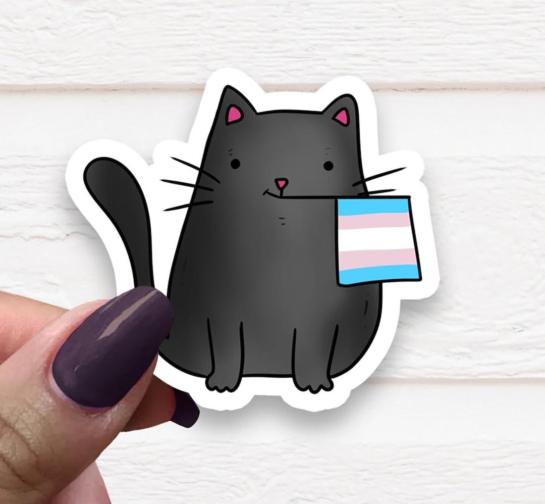 Transgender Pride Sticker, Pride Decal, Rainbow Sticker, LGBTQ Sticker ...