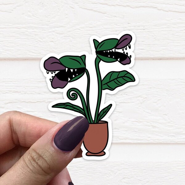 Venus Flytrap - Etsy