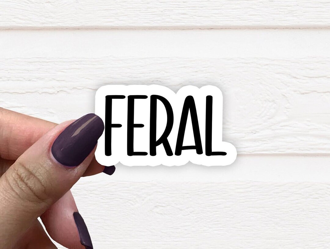 Feral Sticker, Cute Stickers, Funny Sticker, Holographic Stickers ...