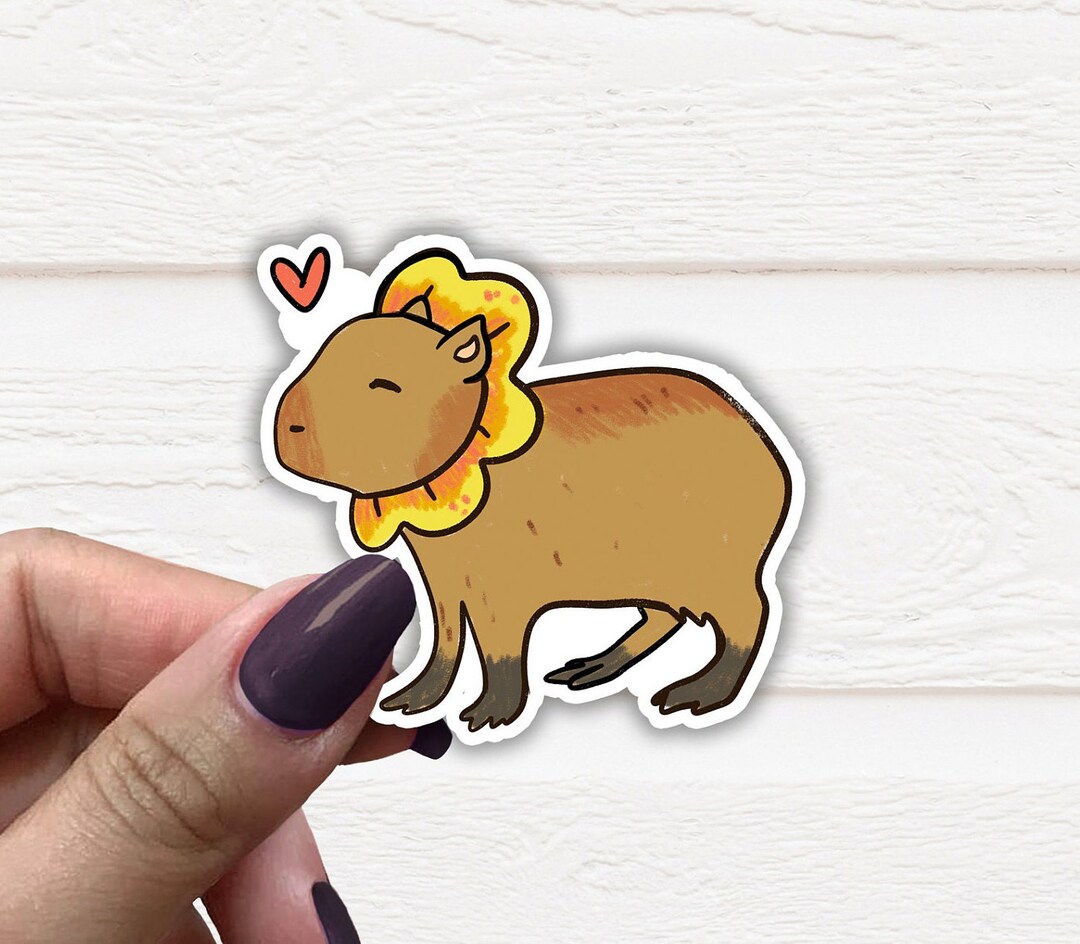 Capybara Sticker Animal Stickers Die Cut Label Water Bottle - Etsy