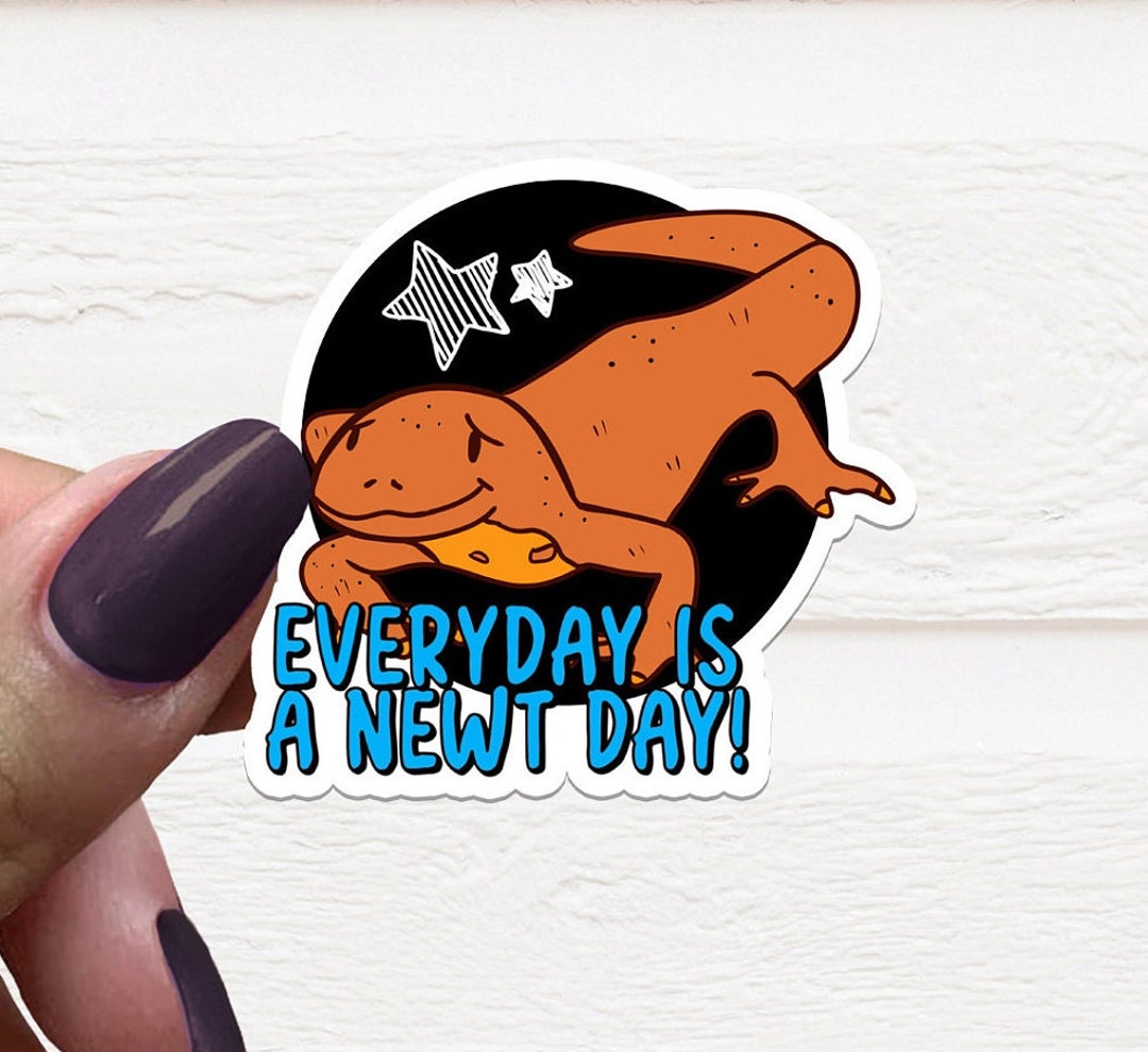 Everyday is a Newt Day Sticker, Animal Gifts, Cute Animals, Pun Sticker ...