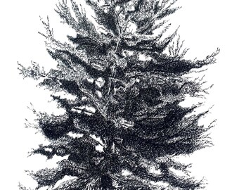 Tree Pen and Ink - Etsy