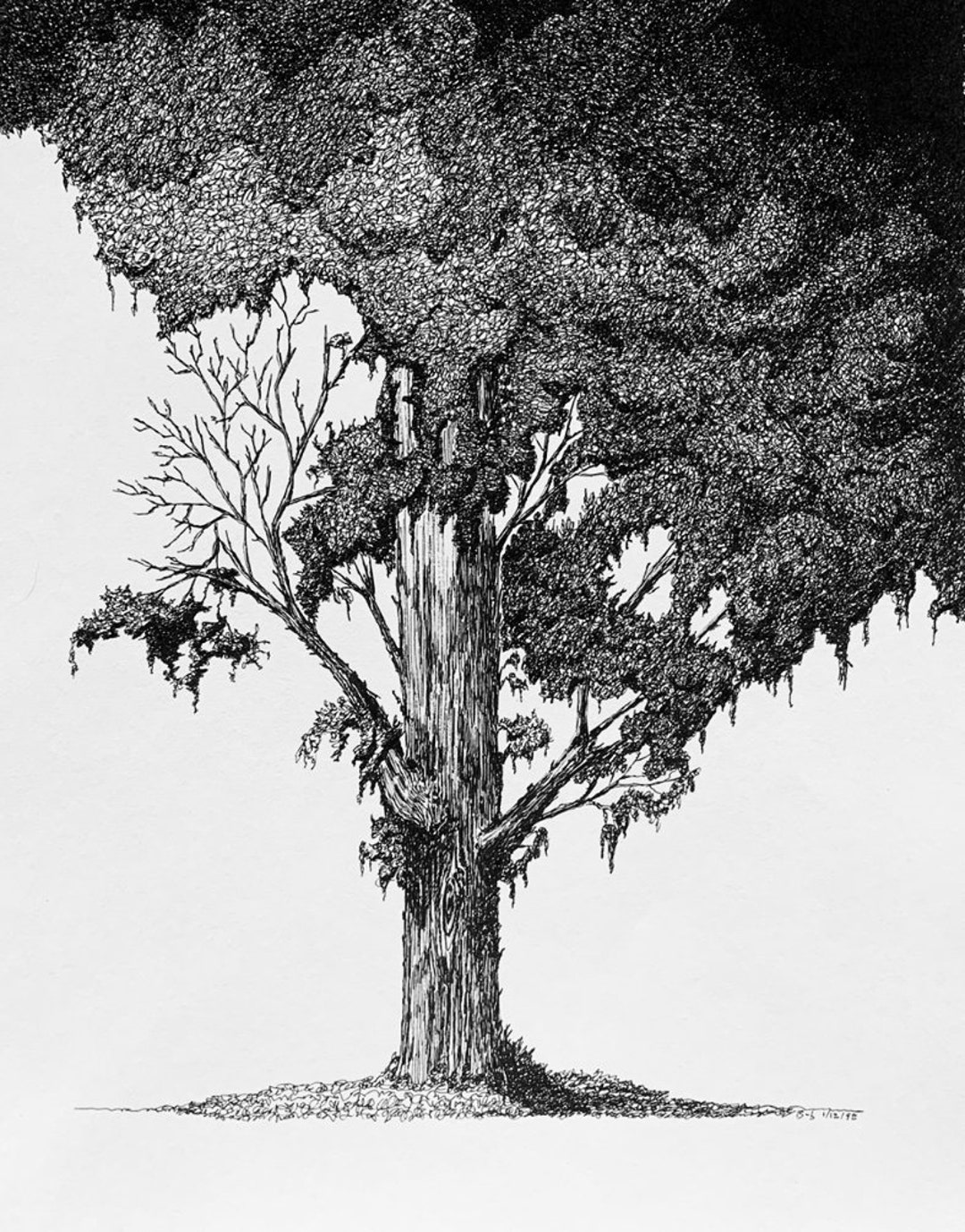 Tree Pen and Ink - Etsy