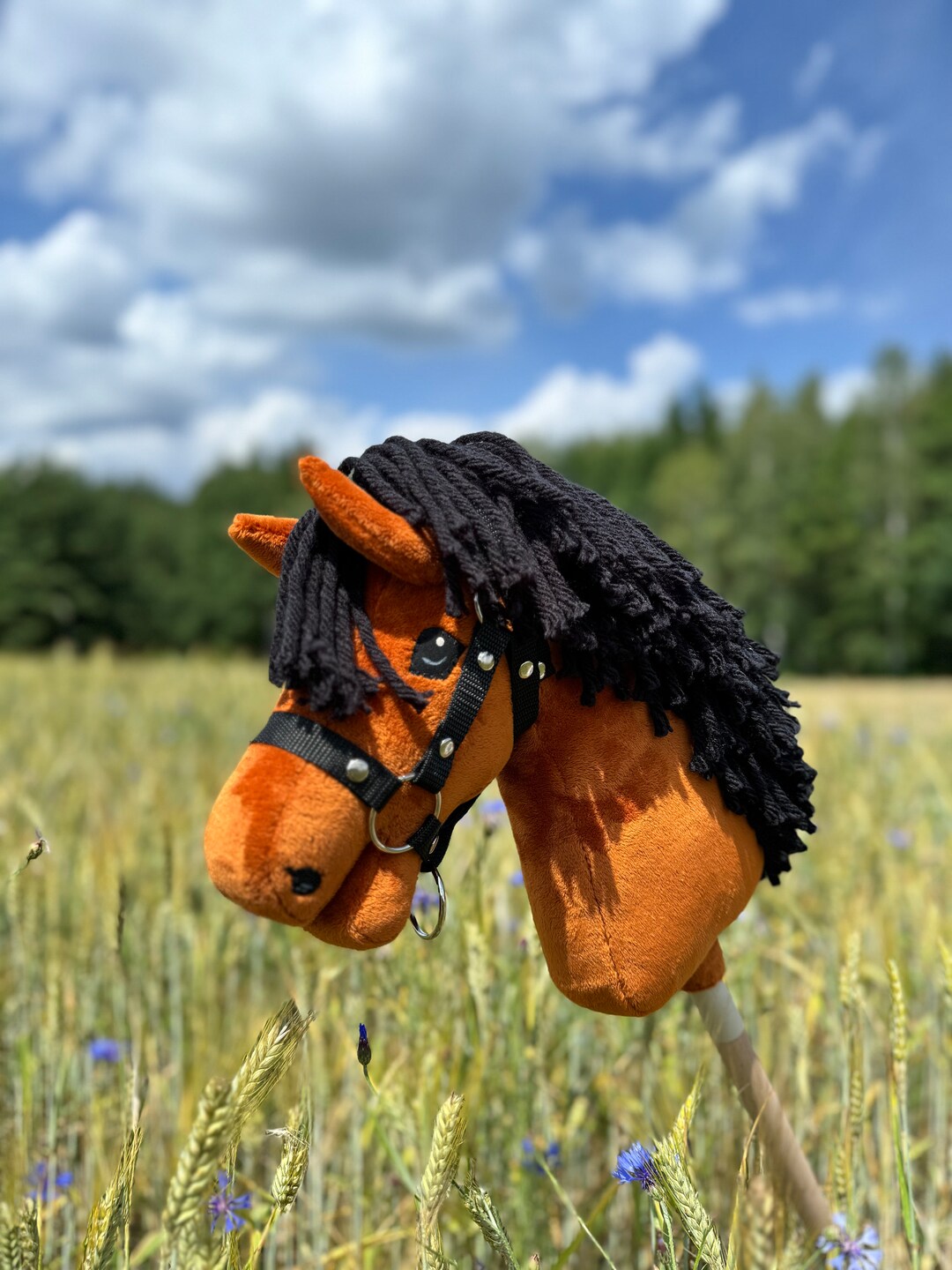 A3 Hobby Horse With Detachable Stick. Copper With Thick Black Mane. - Etsy