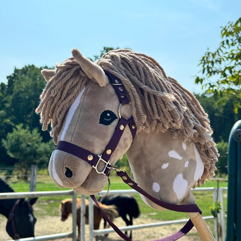Hobby horse adventskalender - Etsy.de
