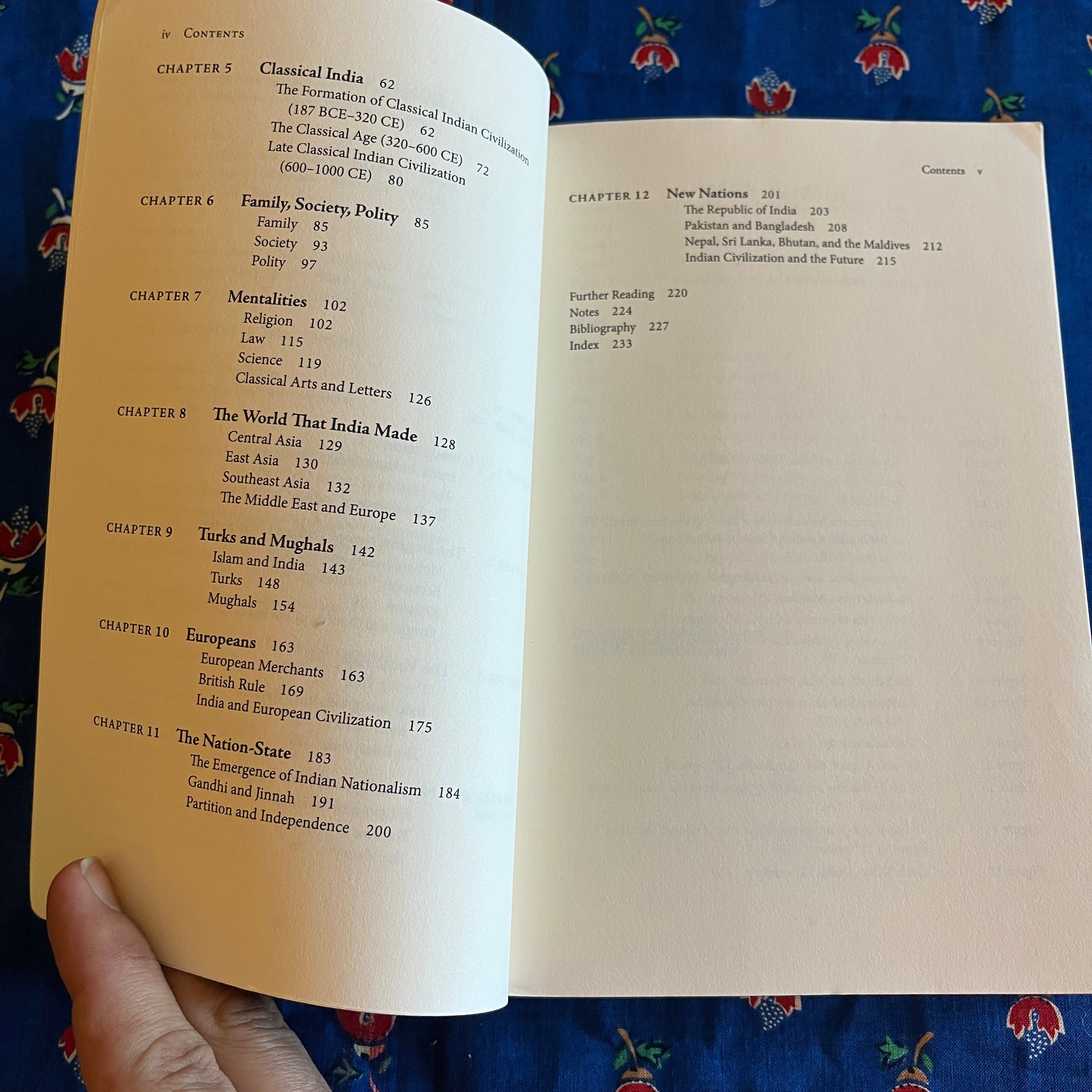 India Brief History of Civilization Thomas R Trautmann - Etsy