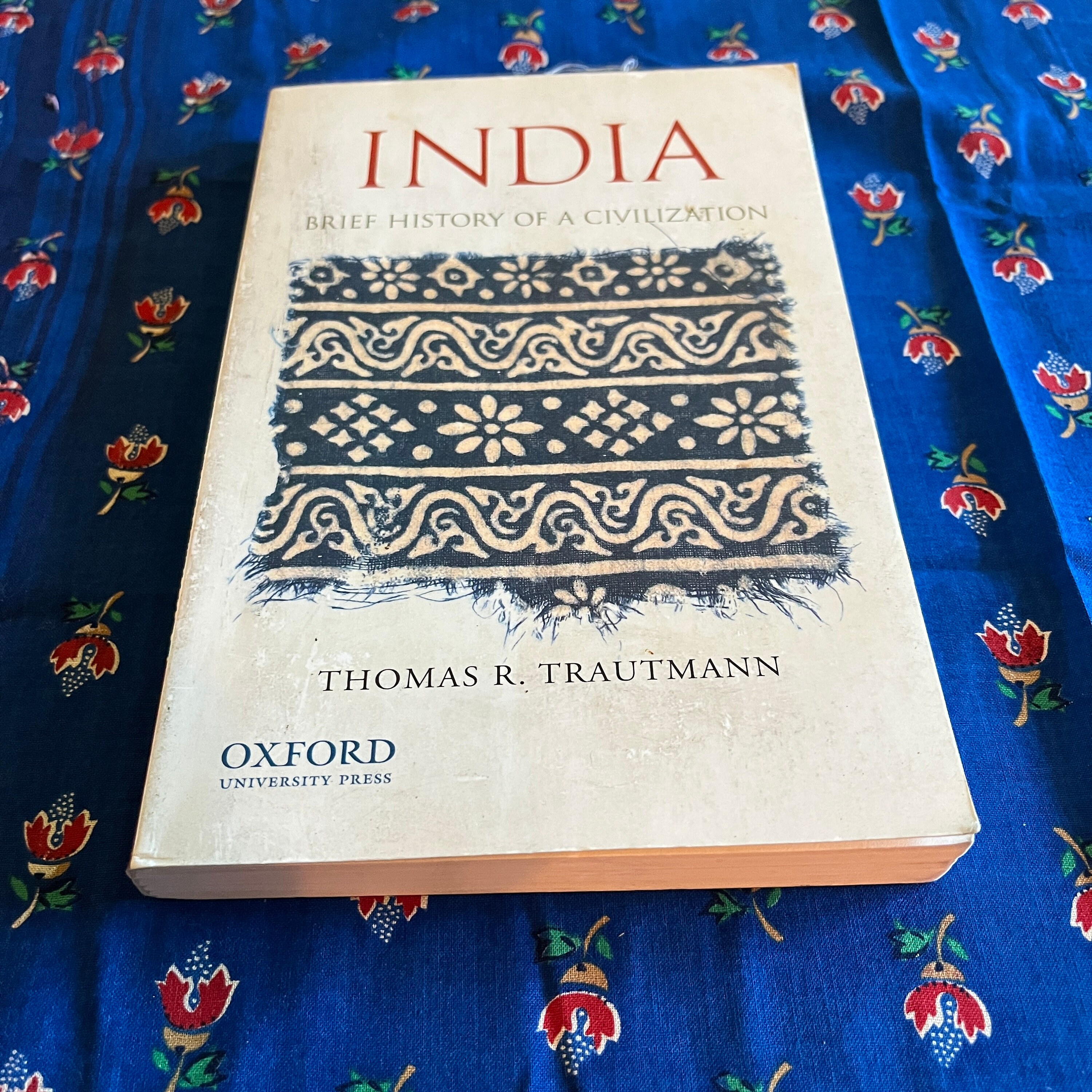 India Brief History of Civilization Thomas R Trautmann - Etsy