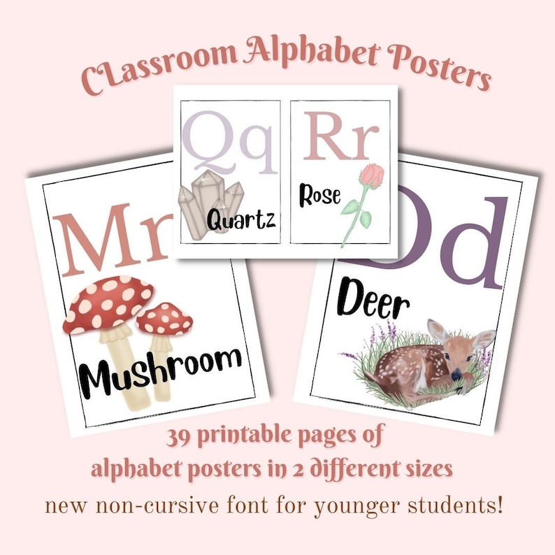 New Font for Younger Students - Individual Alphabet Posters - Etsy