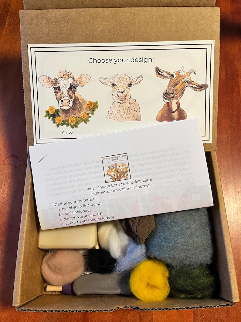 Felted Soap Kit, DIY Wooly Washer, Needle Felting Craft - Etsy