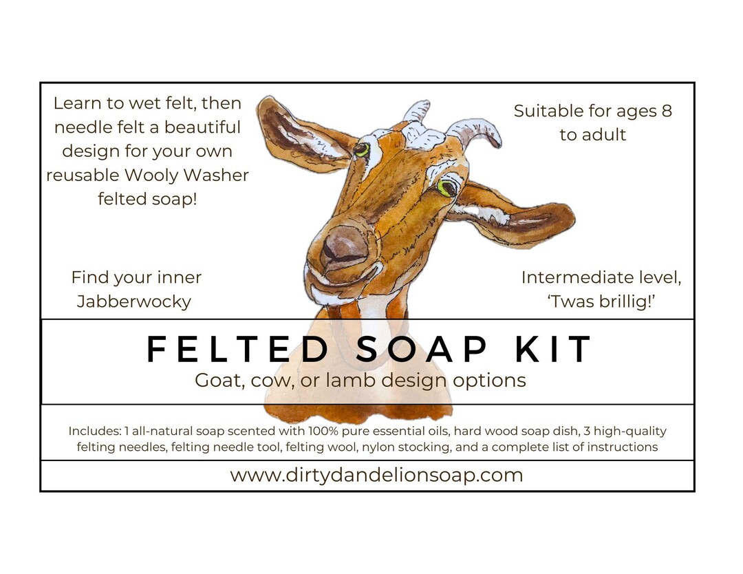 Felted Soap Kit, DIY Wooly Washer, Needle Felting Craft - Etsy