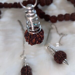 Rudraksha Seed Pendulum; “tear of Shiva” Dowsing Tool/ Shiva Eye ...