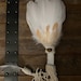 Selenite Goose Feather Smudging Fan/ Shaman Rattle With - Etsy